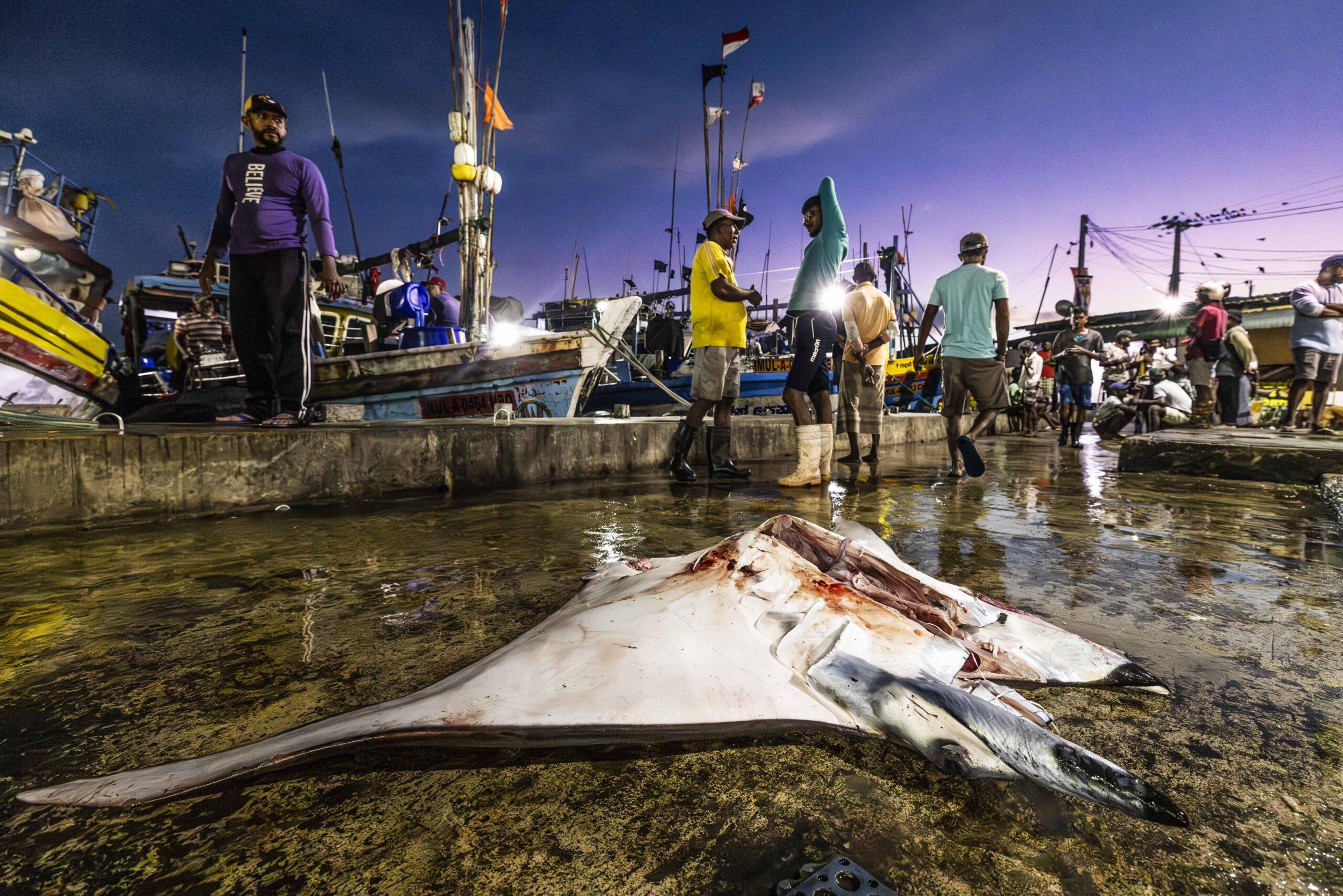 History made as highest protection granted to manta and devil rays ...