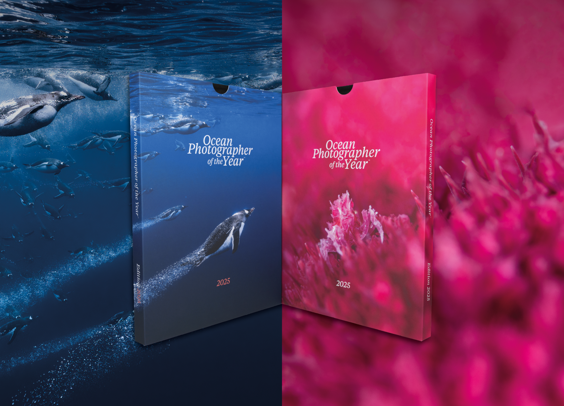 At 99, David Attenborough shares strongest message for the ocean ...