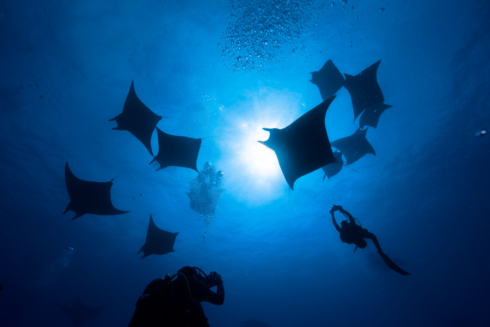 The Coral Triangle: Amazon of the seas - Oceanographic
