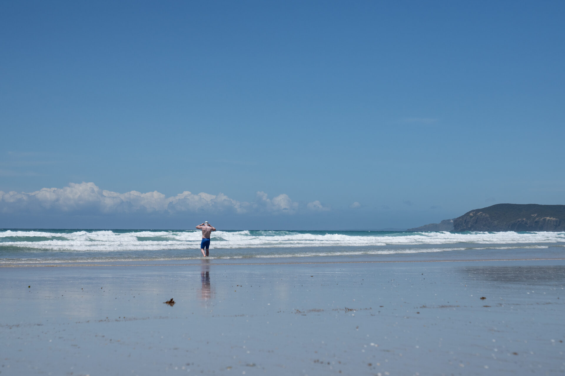 Rare deep-sea anglerfish seen for first time in broad daylight ...