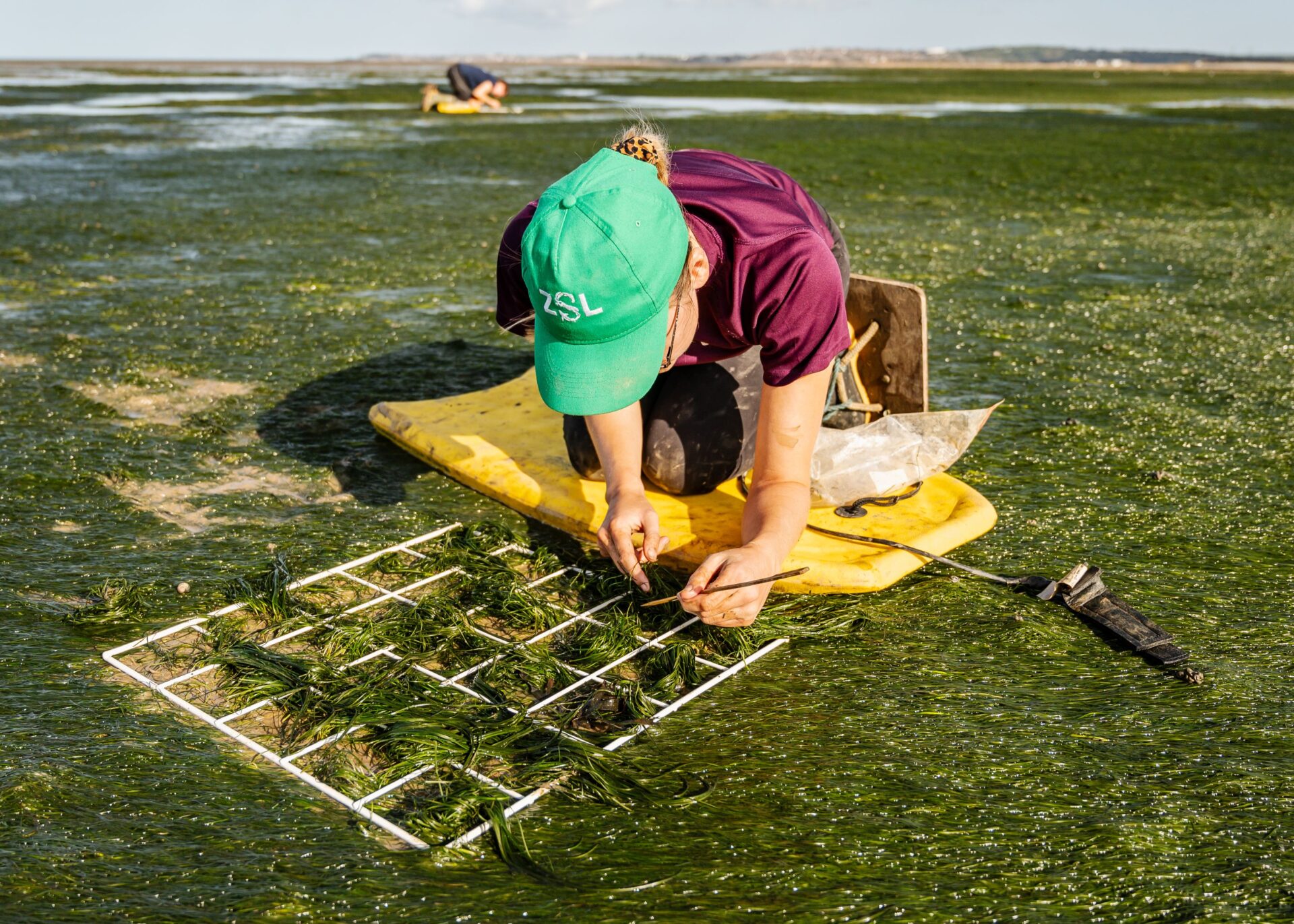 New AI study leaves "industrial fishing's bad guys nowhere to hide ...