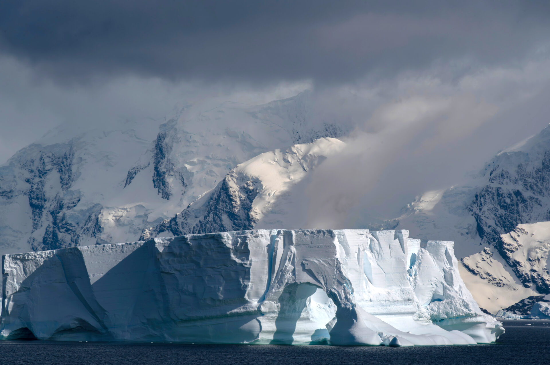 ‘Every encounter memorable’: documentary celebrates manta rays