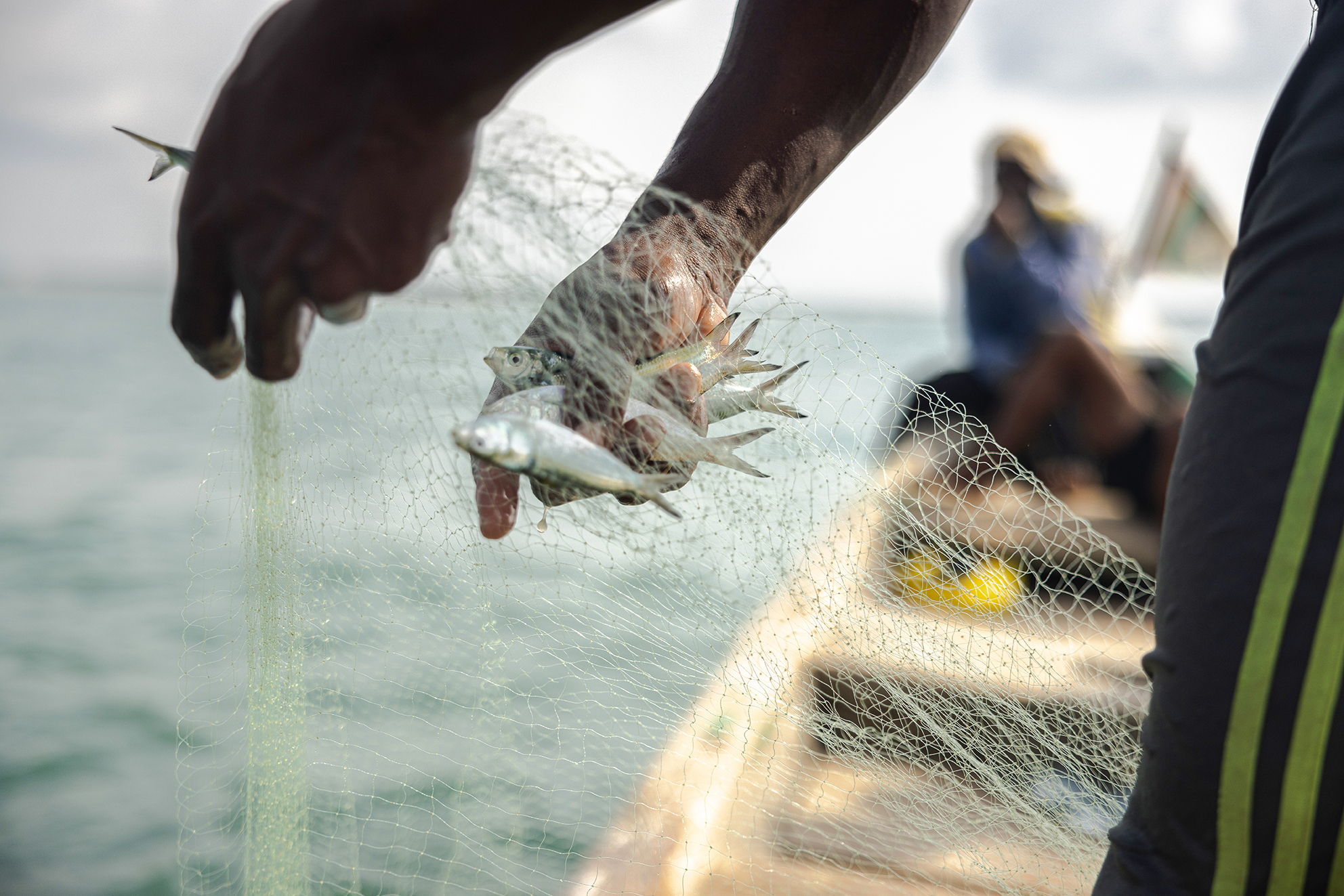 Saiko killers: How illegal trawlers almost broke Ghana’s coast