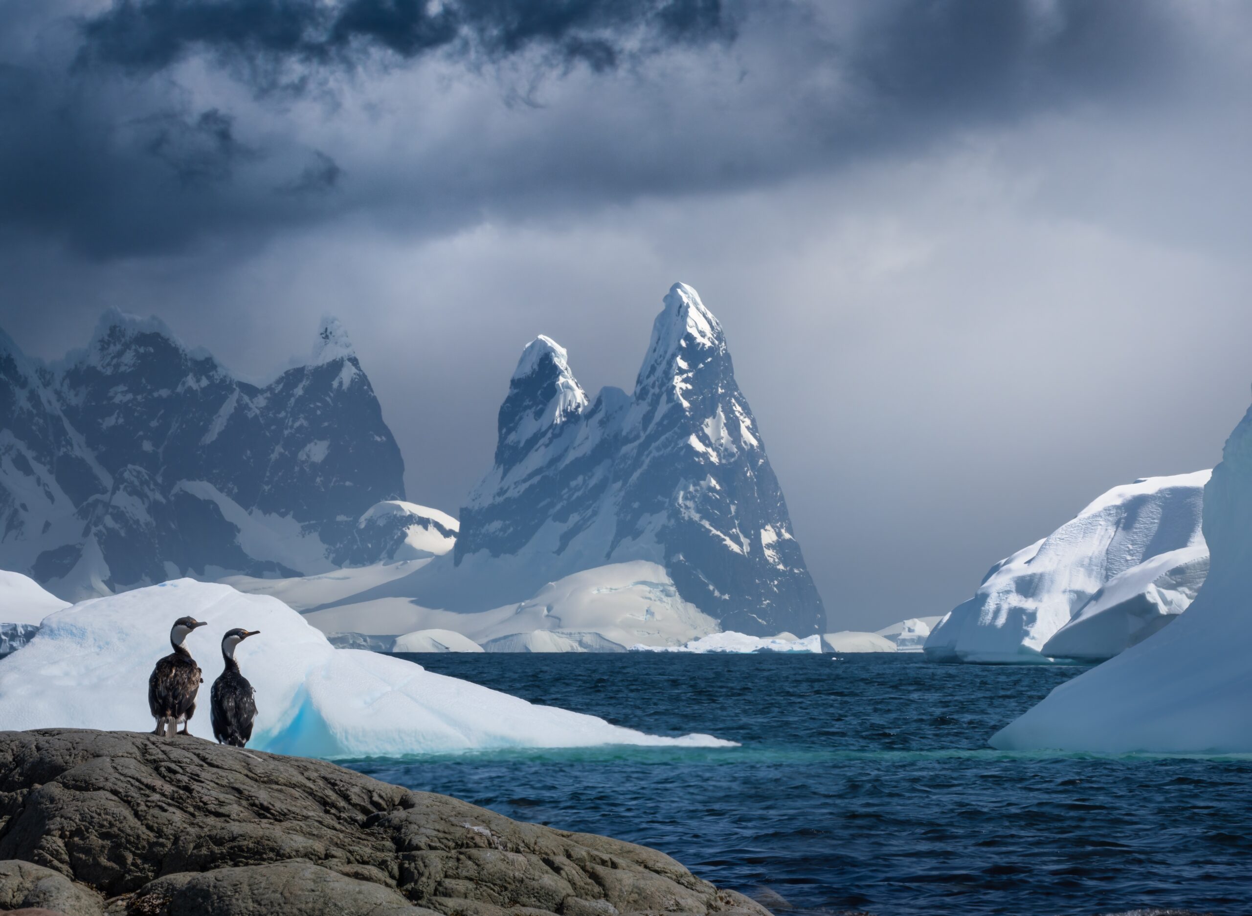 Sea Shepherd targets krill super trawlers in Antarctic mission ...