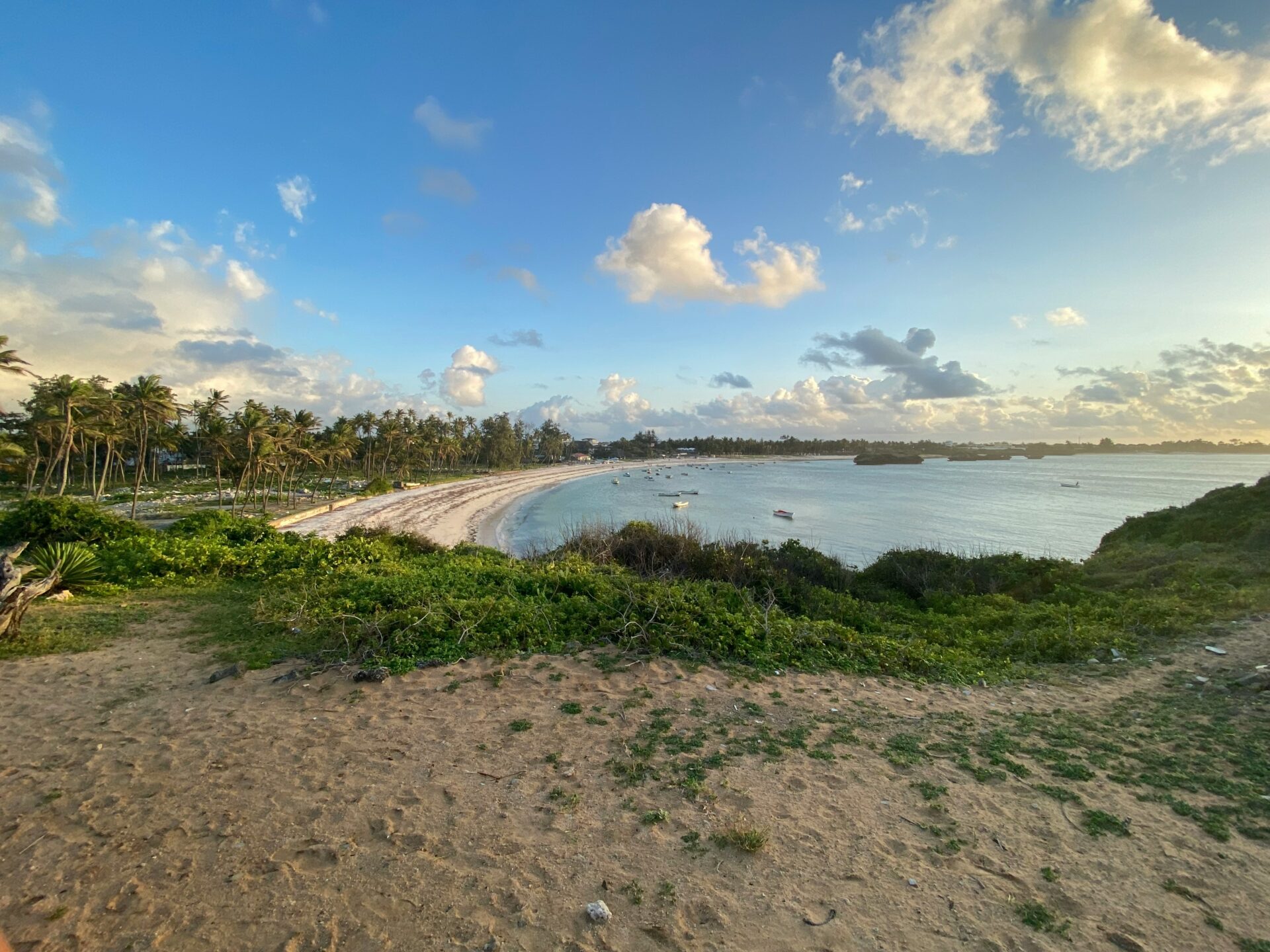 Sea Turtle Week celebrates connection, conservation, and hope ...